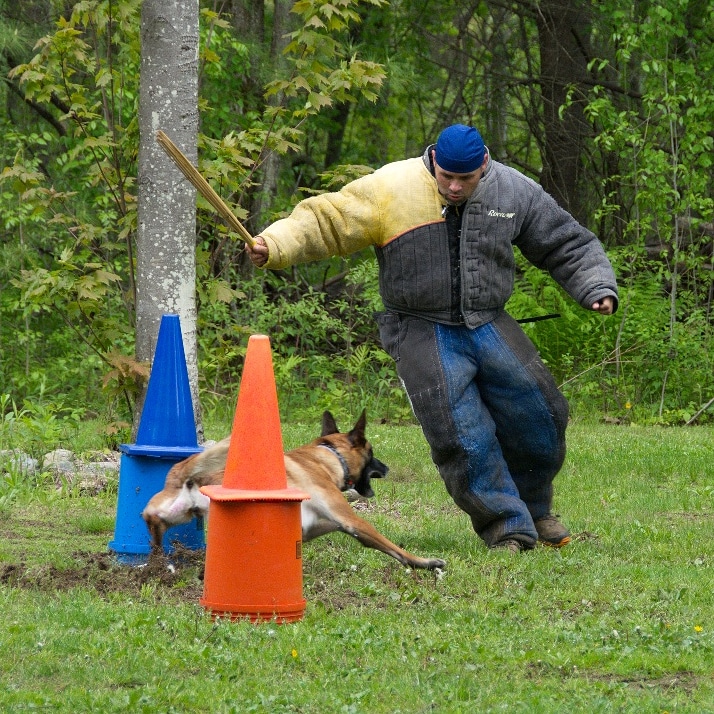 Dogs for Defense K-9